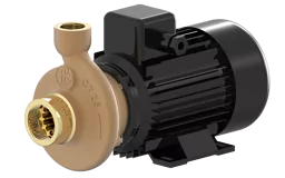 Forani and Pecorari Marine Pumps